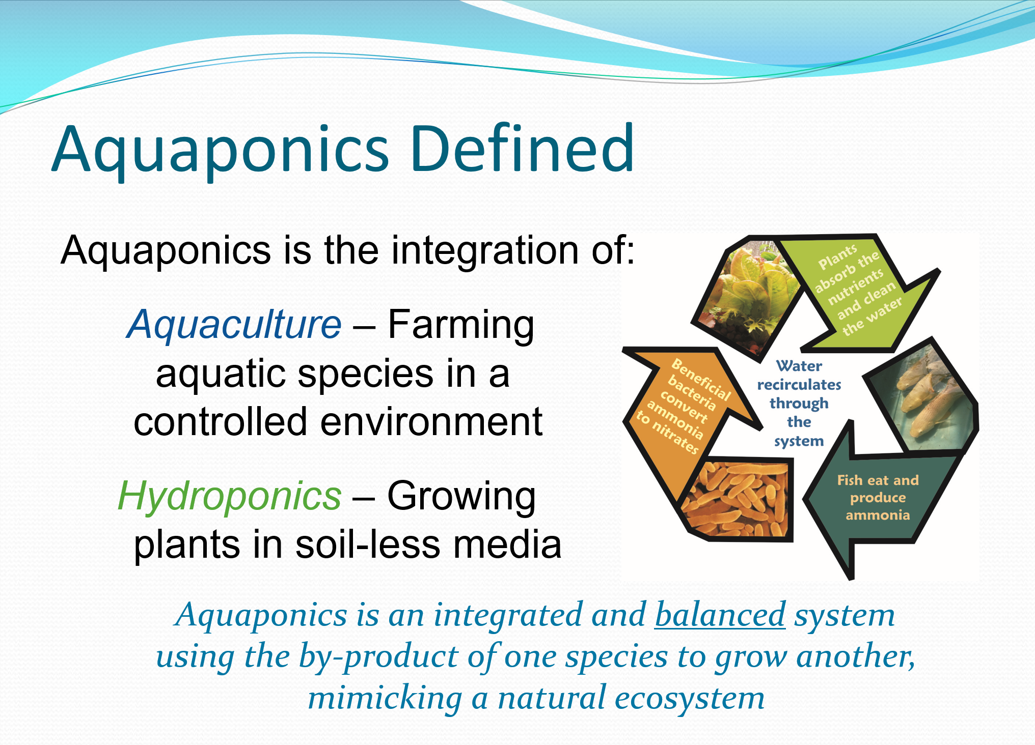 slide2 | The Aquaponic Source