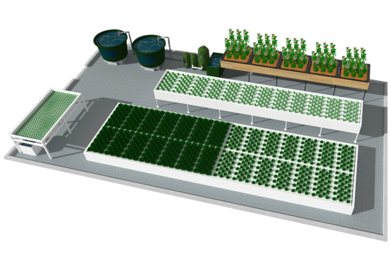 What is Aquaponics? | The Aquaponic Source