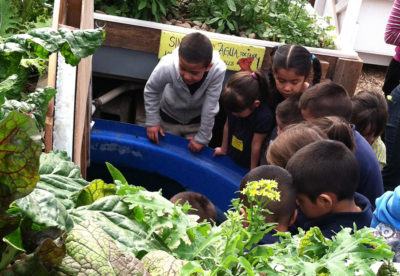 School Aquaponics | The Aquaponic Source