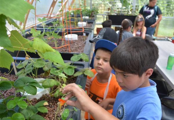 School Aquaponics | The Aquaponic Source
