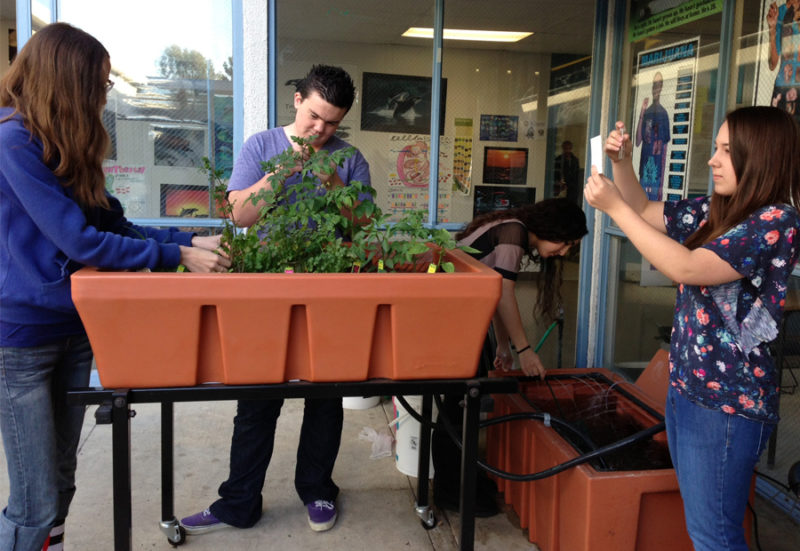 School Aquaponics | The Aquaponic Source