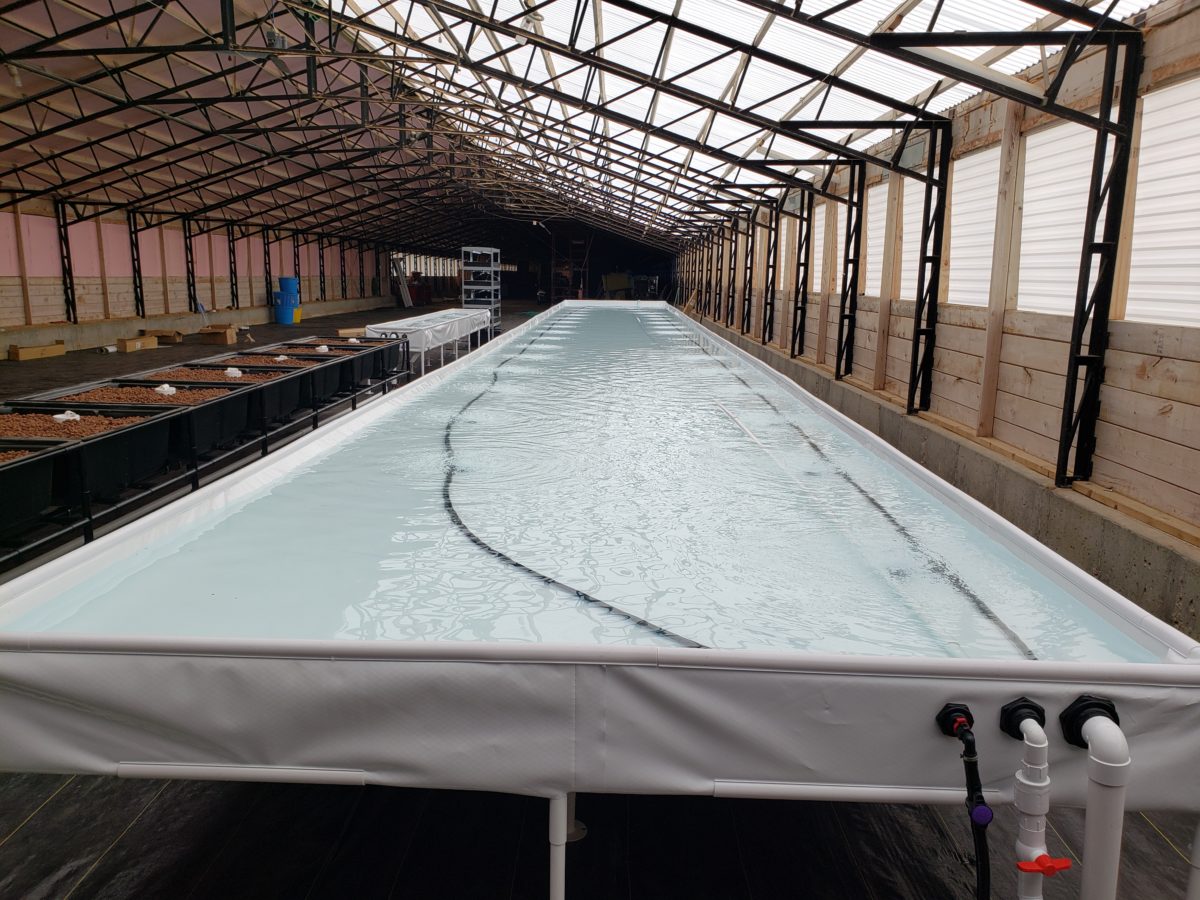 Growasis Elevated Modular Raft Systems | The Aquaponic Source