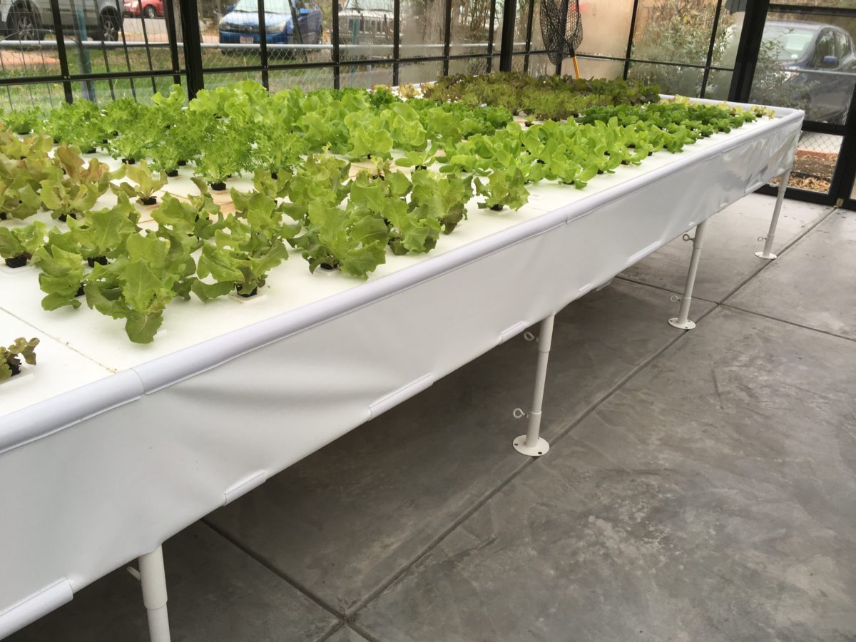 Growasis Elevated Modular Raft Systems | The Aquaponic Source