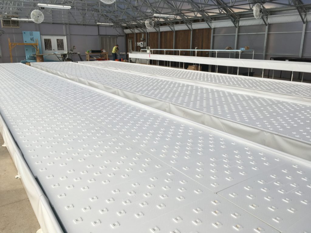 Deep Water Culture Raft Boards | The Aquaponic Source