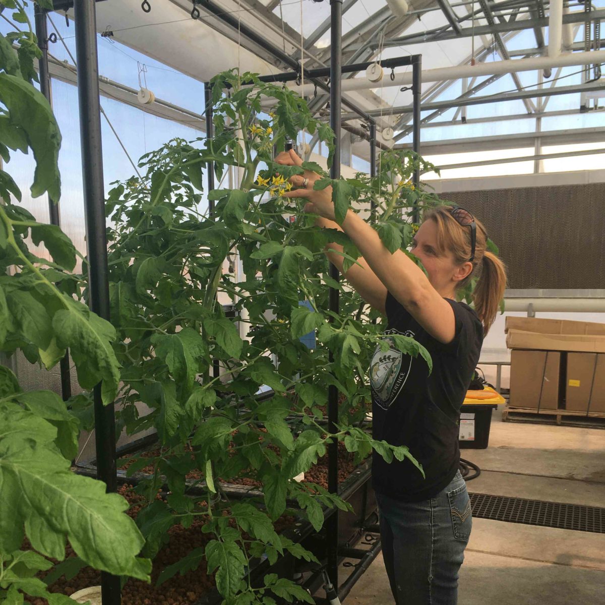 Aquabundance Modular Home Aquaponic Systems | The Aquaponic Source