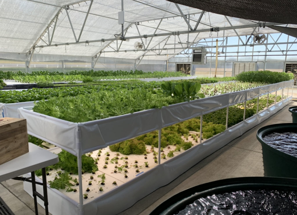 Growasis Double Decker Modular Raft Systems | The Aquaponic Source