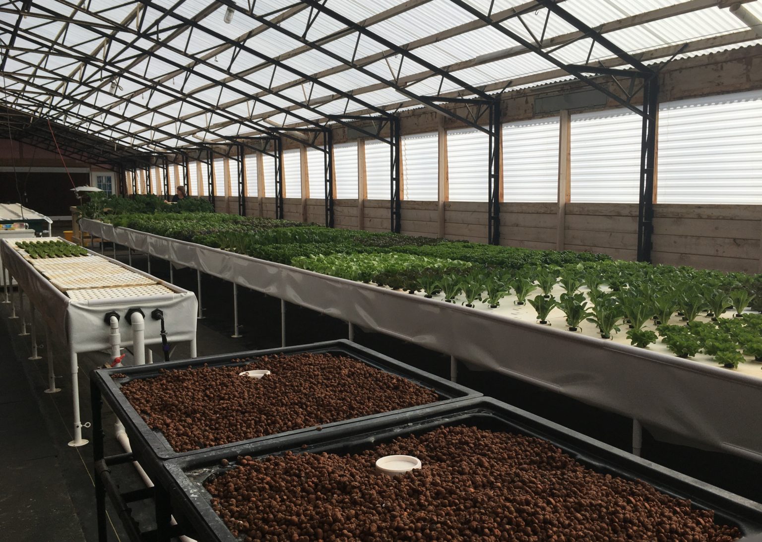 Growasis Elevated Modular Raft Systems | The Aquaponic Source