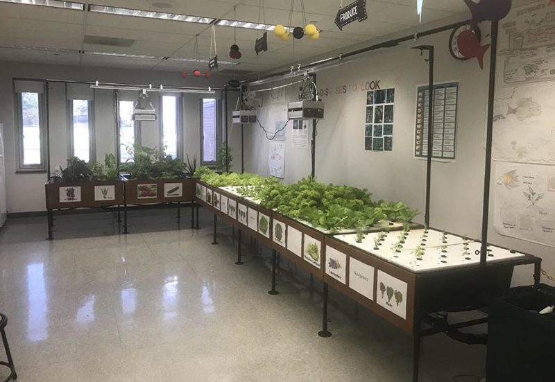 Aquabundance™ Modular Aquaponic Systems | The Aquaponic Source