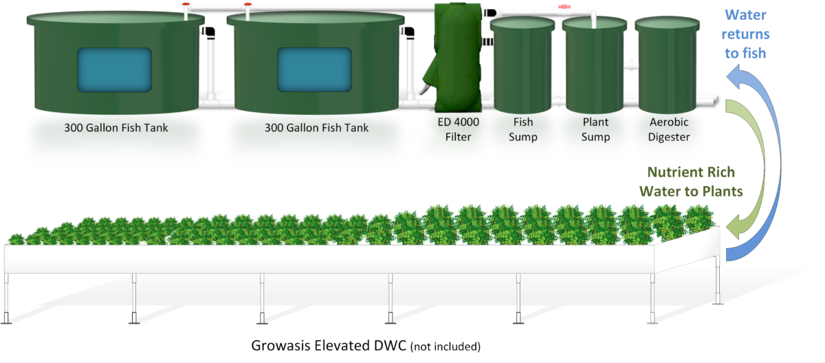 The Flourish Fish Farm 600 - Go Green Aquaponics