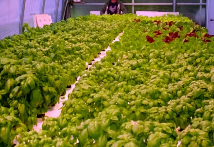 growasis elevated brian rusk 3 for web | The Aquaponic Source