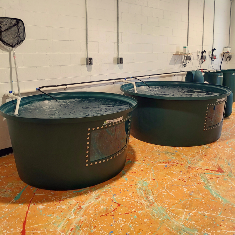 Harvest Moon Aquaponics | The Aquaponic Source