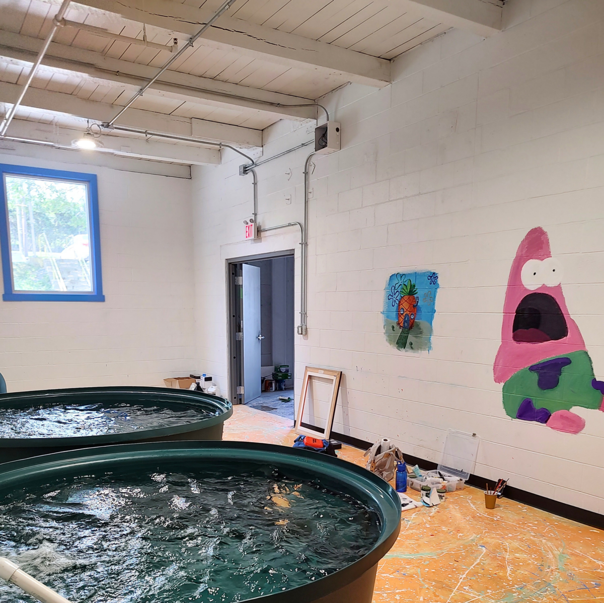 Harvest Moon Aquaponics | The Aquaponic Source