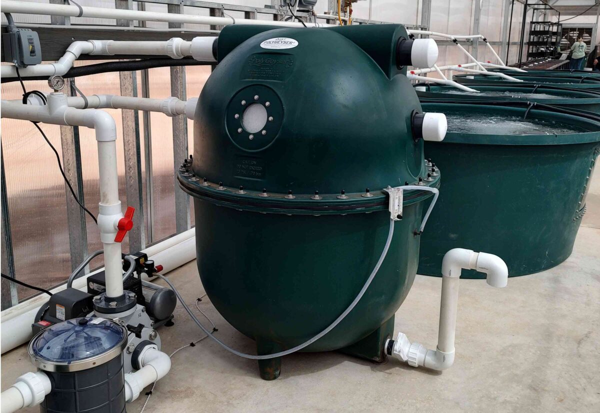 The PolyGeyser Bead Filter | The Aquaponic Source