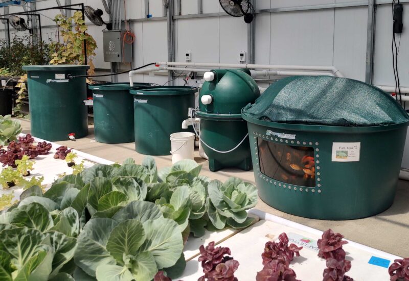 Recirculating Aquaculture System | AquaBundance Fish Farm | The ...