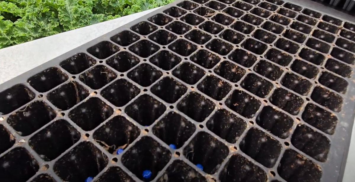 Plug Tray Popper - Go Green Aquaponics