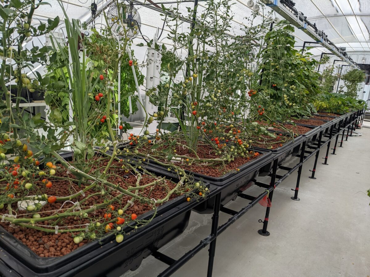 Aquabundance™ Modular Aquaponic Systems | The Aquaponic Source